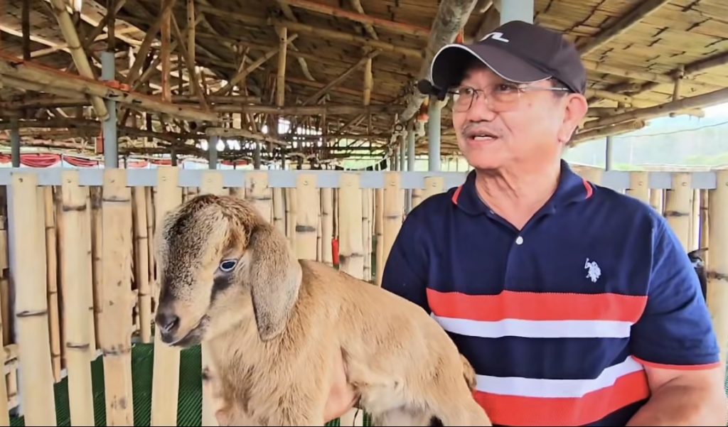 2-Day-Old Spanish Buck Kid, Big Boy, Weighs 3.45kg.! (FOOD FOR THOUGHT ...